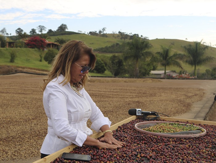Marisa Contreras fala sobre a Safra de Cafés Especiais. - Muzambinho.com